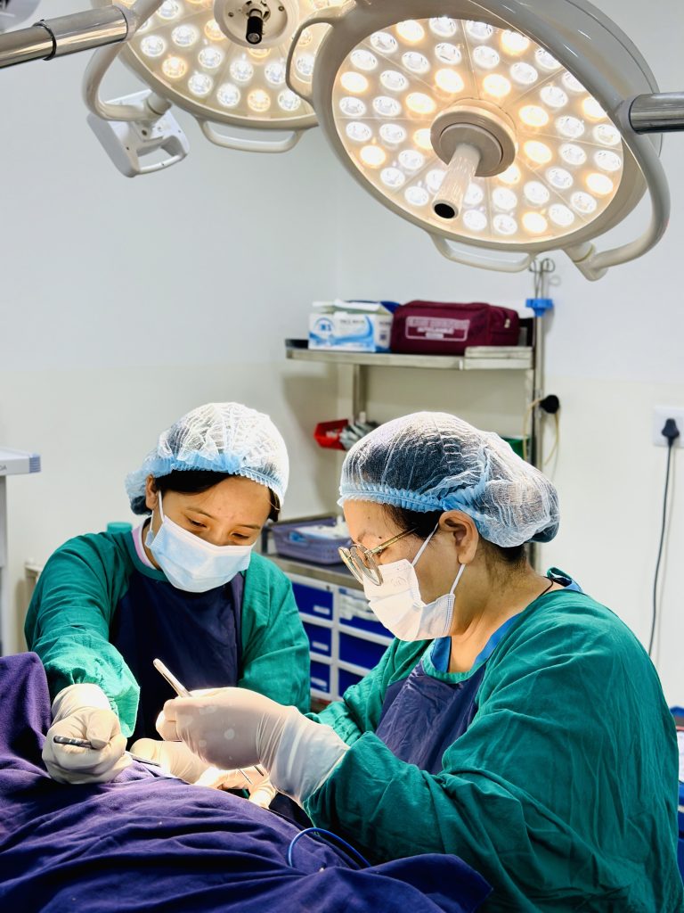 Dr. Suzita Hirachan- A highly renowned top best breast surgeon in ...